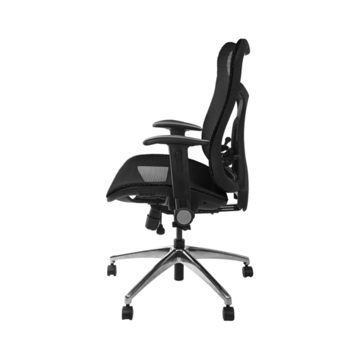 Backbone - Viking™ 全方位樂手椅 網座 安息黑